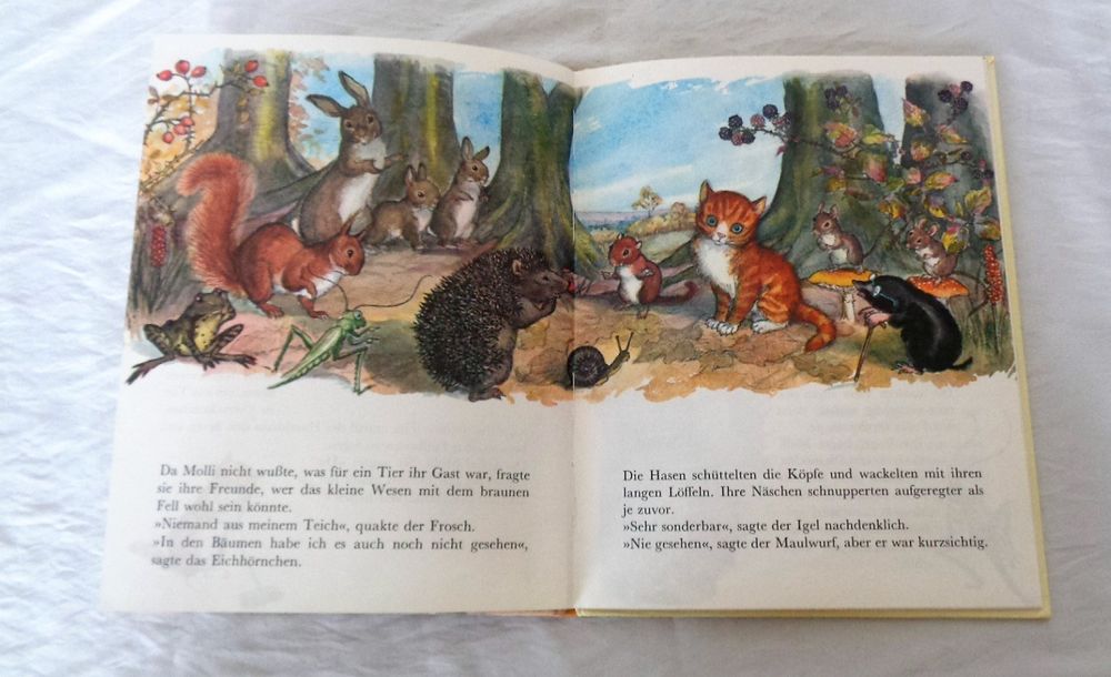 Maus Bilderbuch / Die faule Haselmaus / Daxi Buch Nr. 19 | Kaufen auf ...