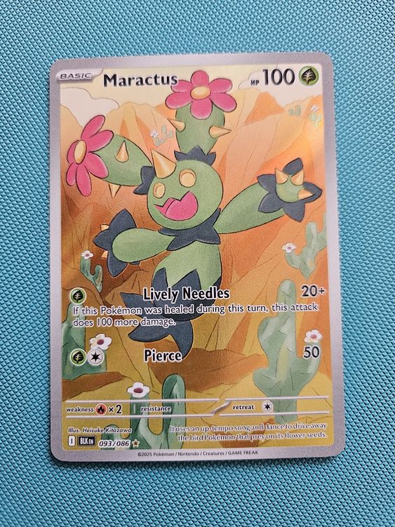 Maractus 093/086 Pokémon Black Bolt EN Ab 1 (Neu (gemäss Beschreibung ...
