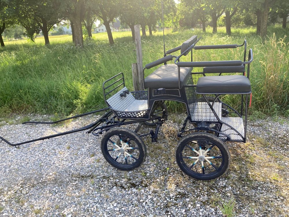 Pony Kutsche | Kaufen auf Ricardo