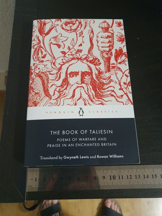 The Book of Taliesin - Buch - Englisch | Kaufen auf Ricardo