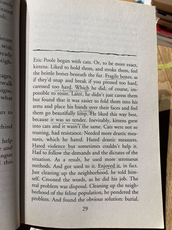 Robert Cormier Tenderness | Kaufen auf Ricardo