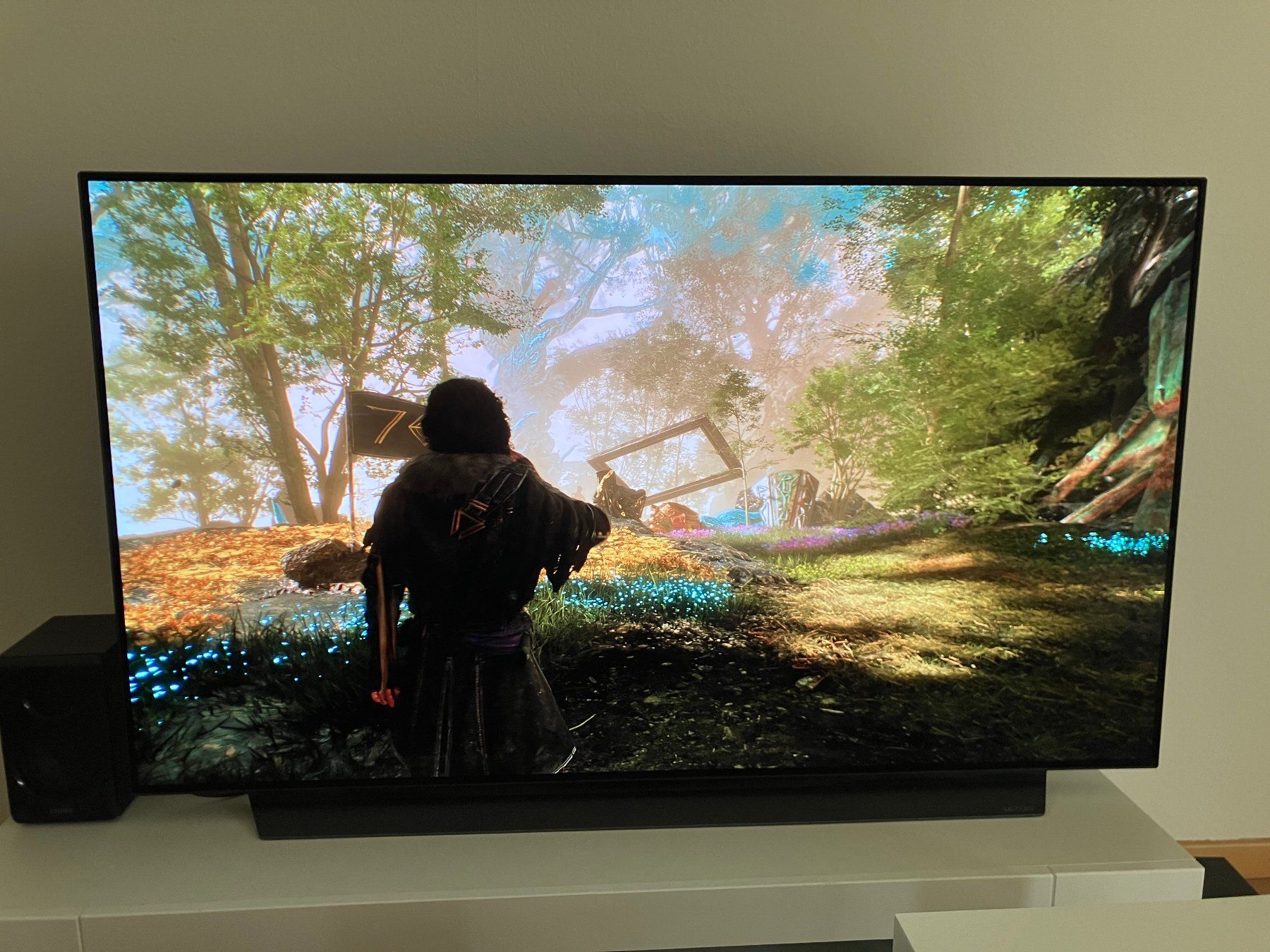 LG OLED 55 Zoll TV - Top Zustand - Perfekt für Gaming! (Gebraucht) in ...