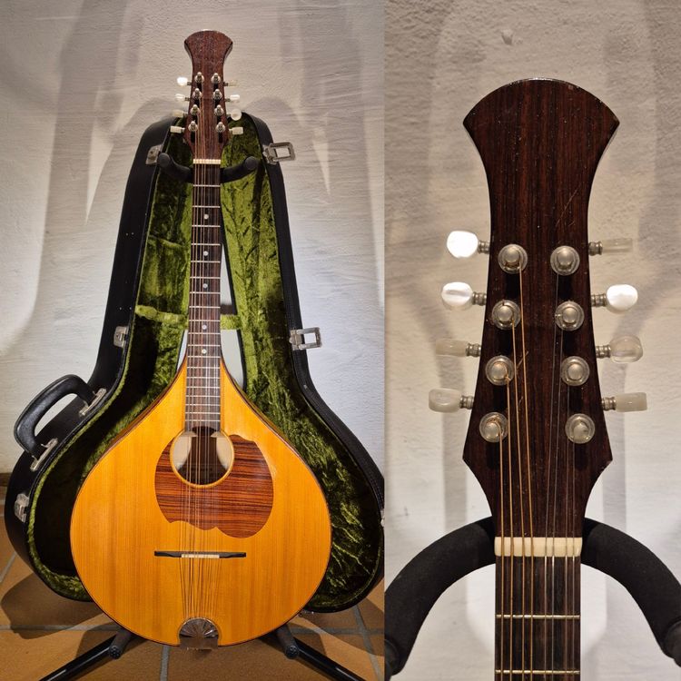 Handgefertigte Vintage Mandola Jean-François Descombes 1987 (Gebraucht ...