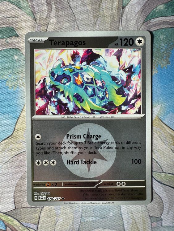 Pokémon TCG – Terapagos Reverse (ASC178) Ascended Heroes (Neu (gemäss ...