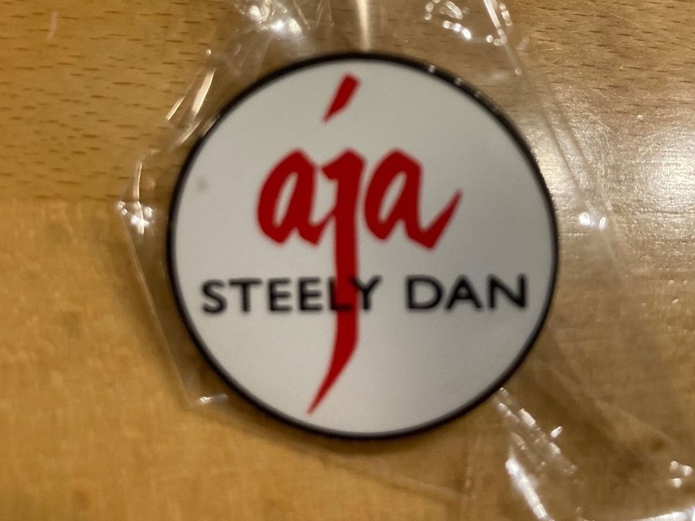 Steely Dan Pin Anstecker Punk Metal Rock Band (Neu (gemäss Beschreibung ...