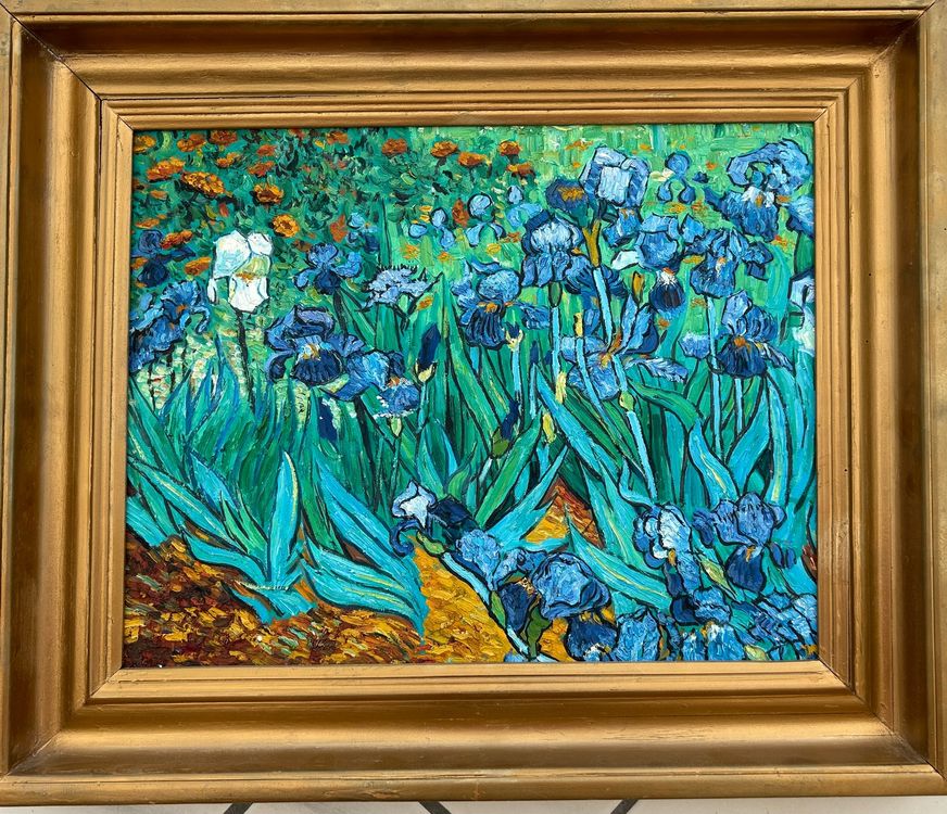 IRIS BLEUES (D'occasion) à Rorbas pour CHF 380 – avec livraison ...