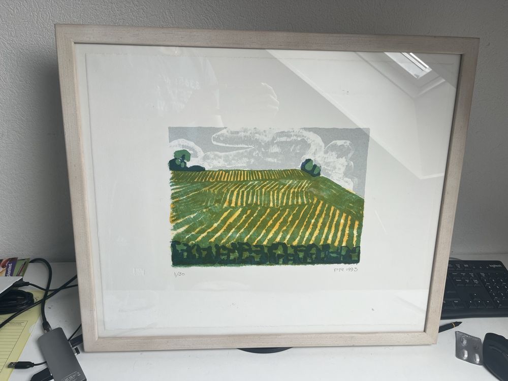 Grafik von Paul Rüegg | Kaufen auf Ricardo