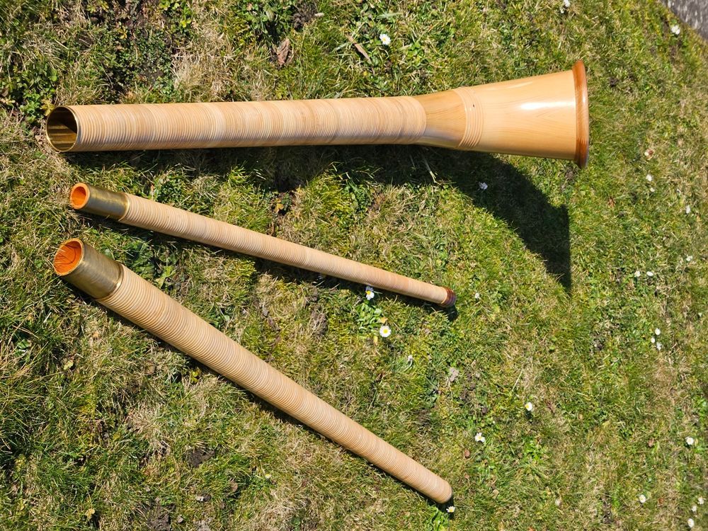 Alphorn in Fis/Ges STOCKER (NEUWERTIG) (Neu (gemäss Beschreibung)) in ...