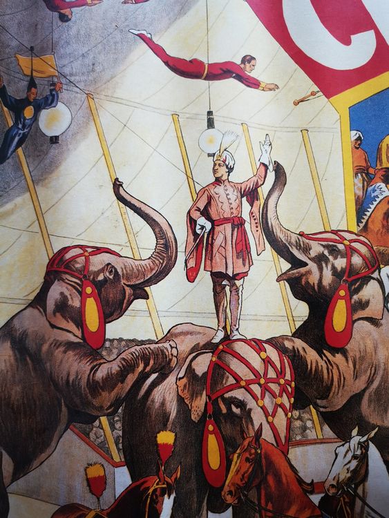 Circus Knie Plakat | Kaufen auf Ricardo