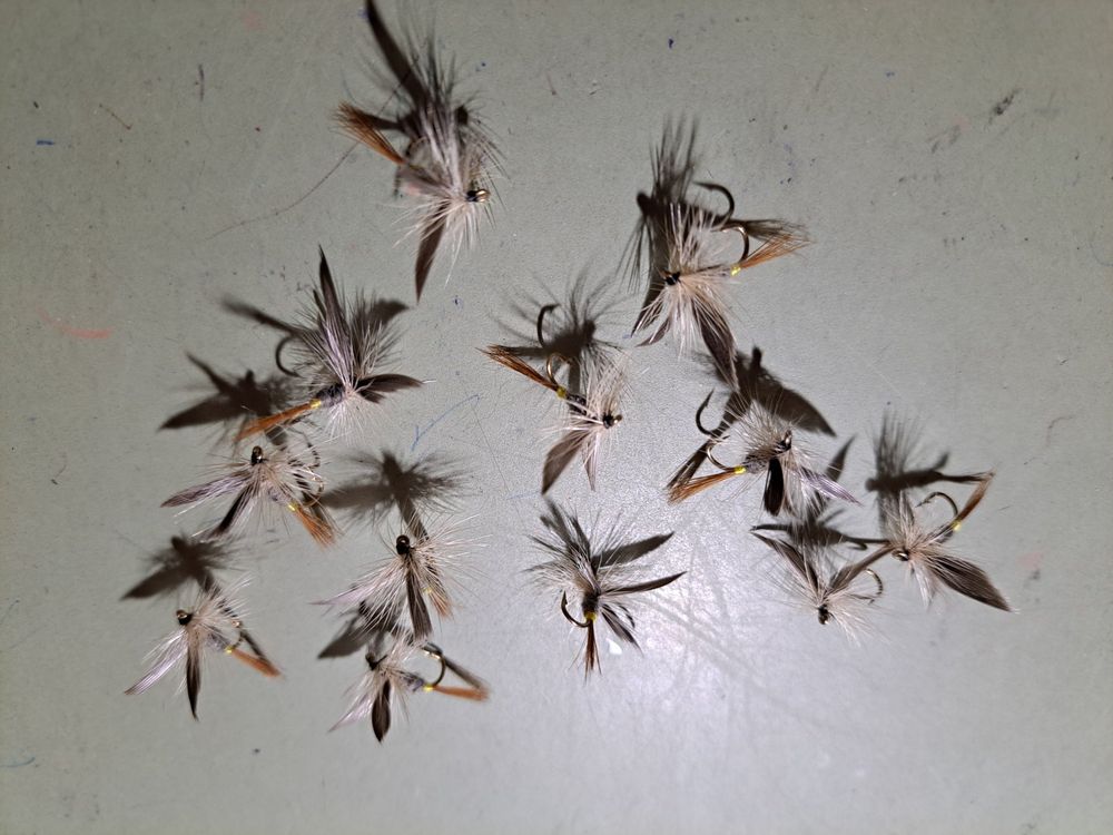 12 Lady Beaver Kill h 14 (Neuf avec emballage d'origine) à Fribourg ...