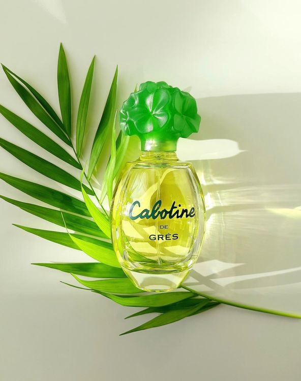 New Cabotine de Grès 100ml Parfum +30ml BOULE DE GOMME | Kaufen auf Ricardo
