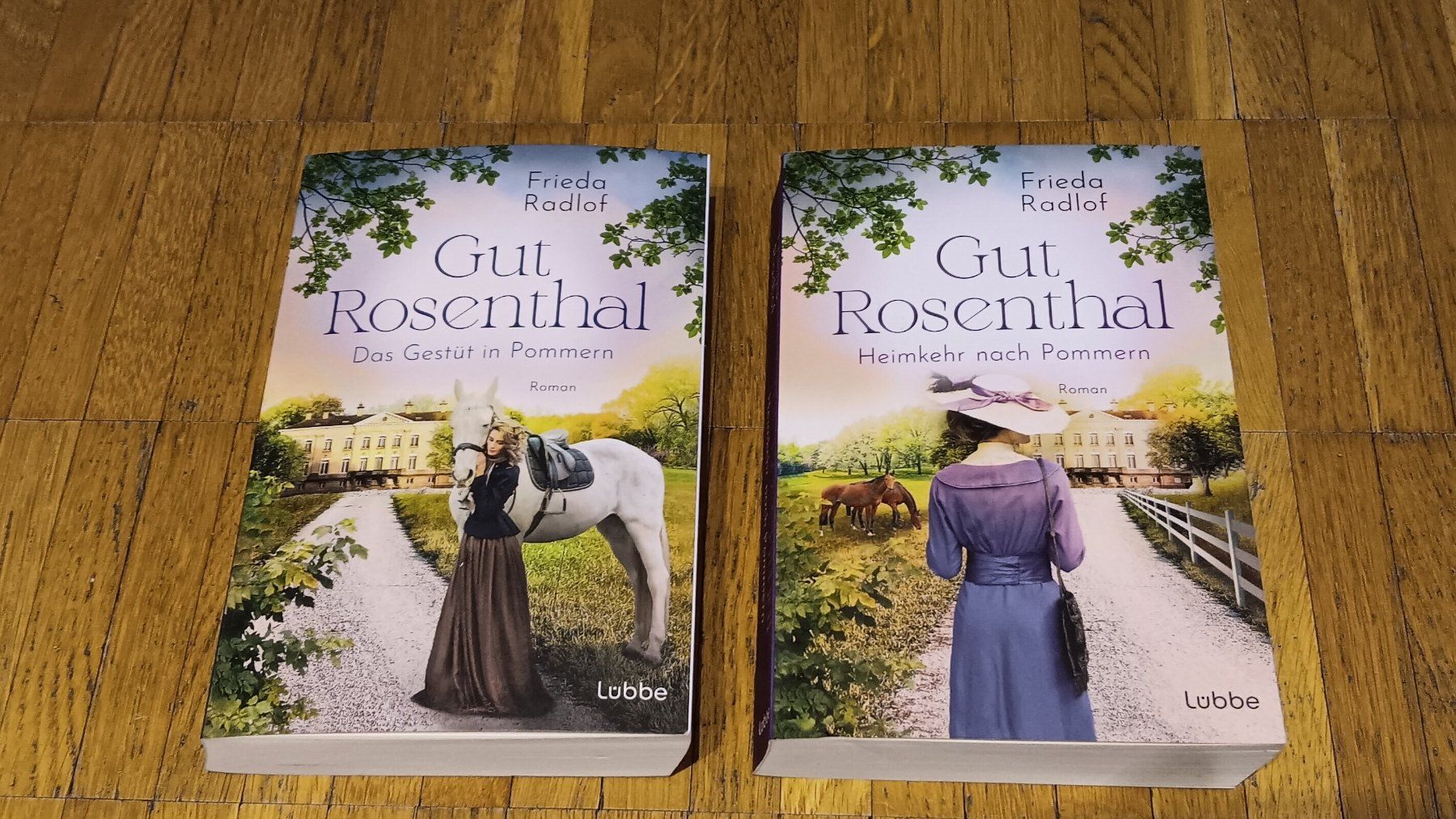 Frieda Radlof, Gut Rosenthal, Band 1-3 (Gebraucht) in Dietikon für CHF ...