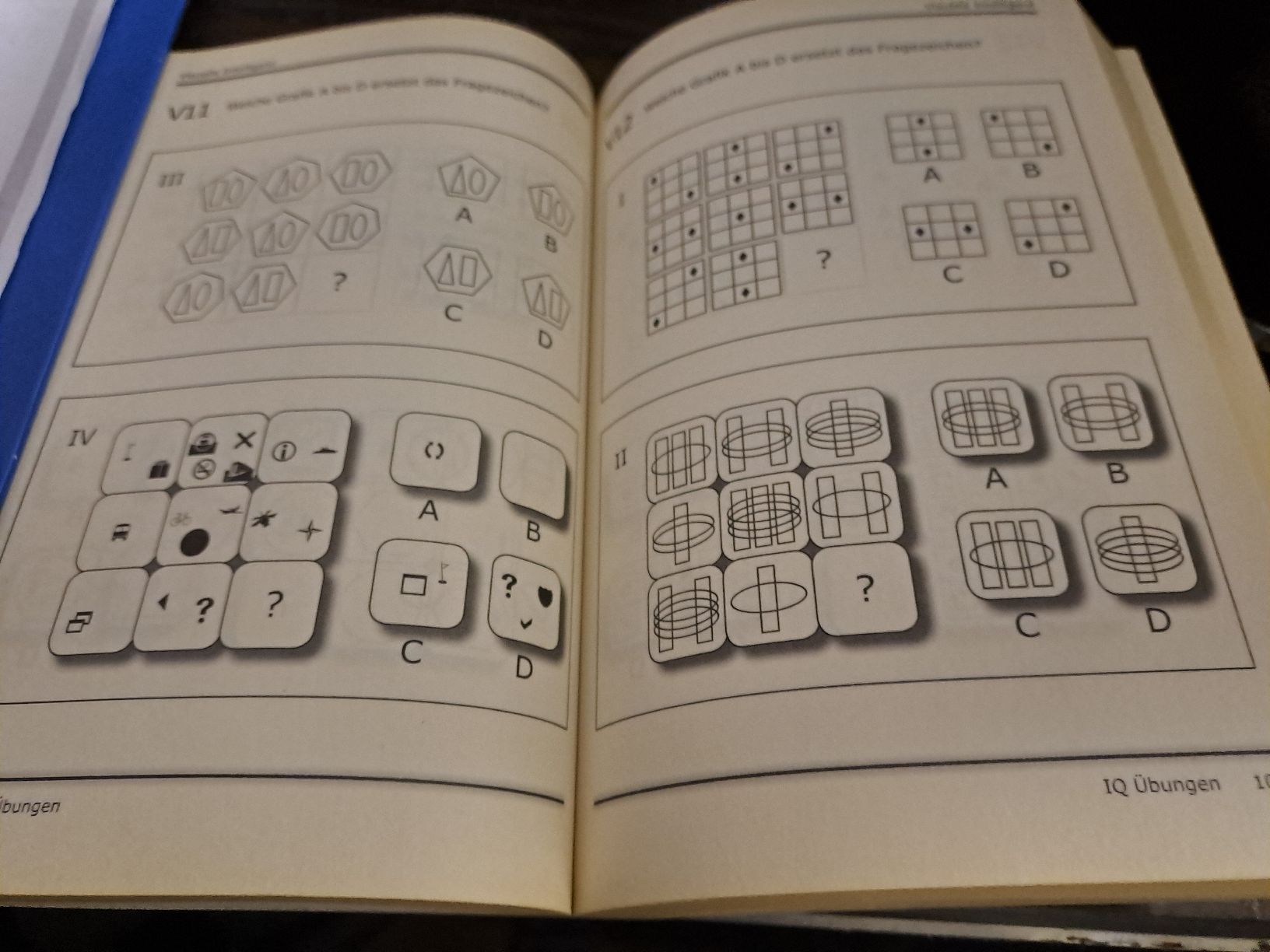 Knaurs grosser IQ Trainer - Testen Sie Ihre Intelligenz (Gebraucht) in ...