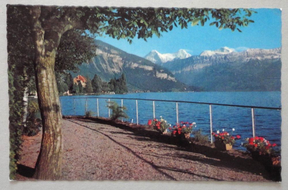 Am Thunersee, Eiger, Mönch, Jungfrau | Kaufen auf Ricardo