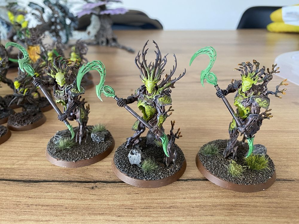Warhammer Age of Sigmar Sylvaneth Armee (2870 pt) (Gebraucht) in für ...
