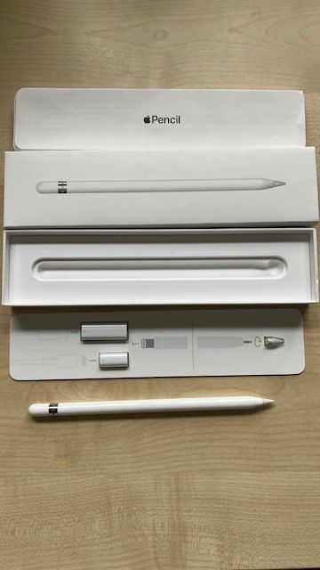 Apple Pencil 1. Generation 2022 (Neu (gemäss Beschreibung)) in ...