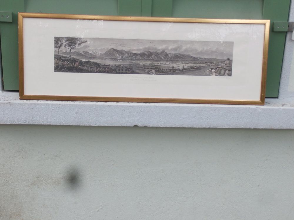 Alter Stich Panorama von Thun Hofstetten Scherzlingen Niesen | Kaufen auf Ricardo