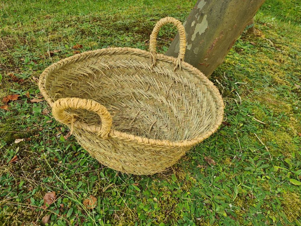 Korb: Seegras-Sale (Neu (gemäss Beschreibung)) in Romanshorn für CHF 12 ...