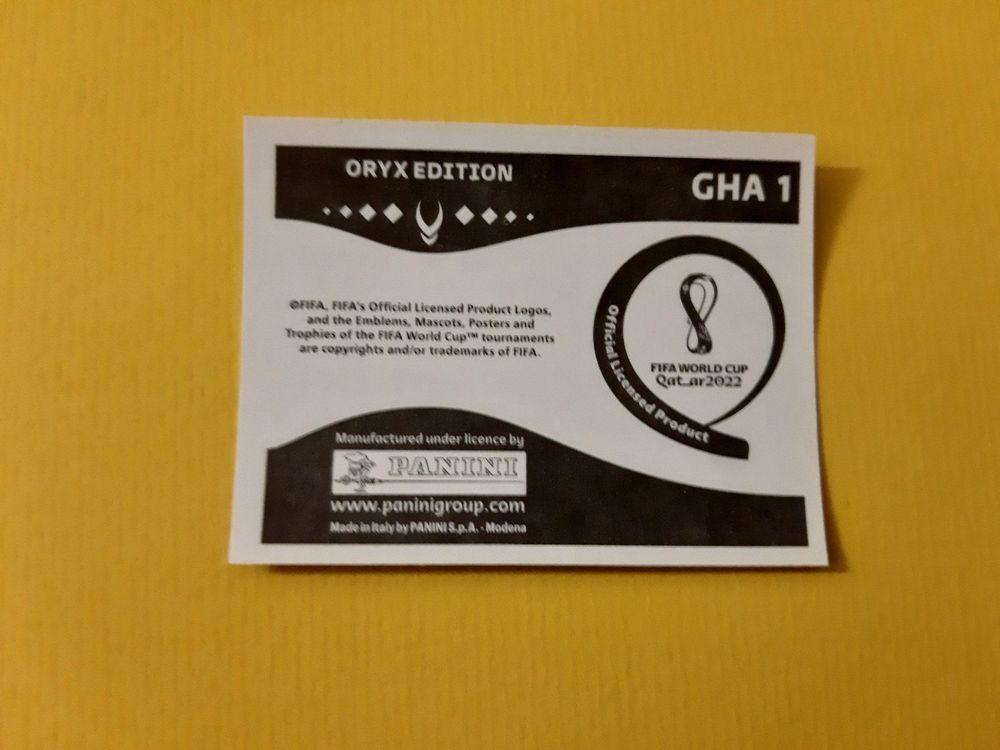 WM 2022 in Qatar GHA Nr. 1 Mannschaftsbild (Neu (gemäss Beschreibung ...