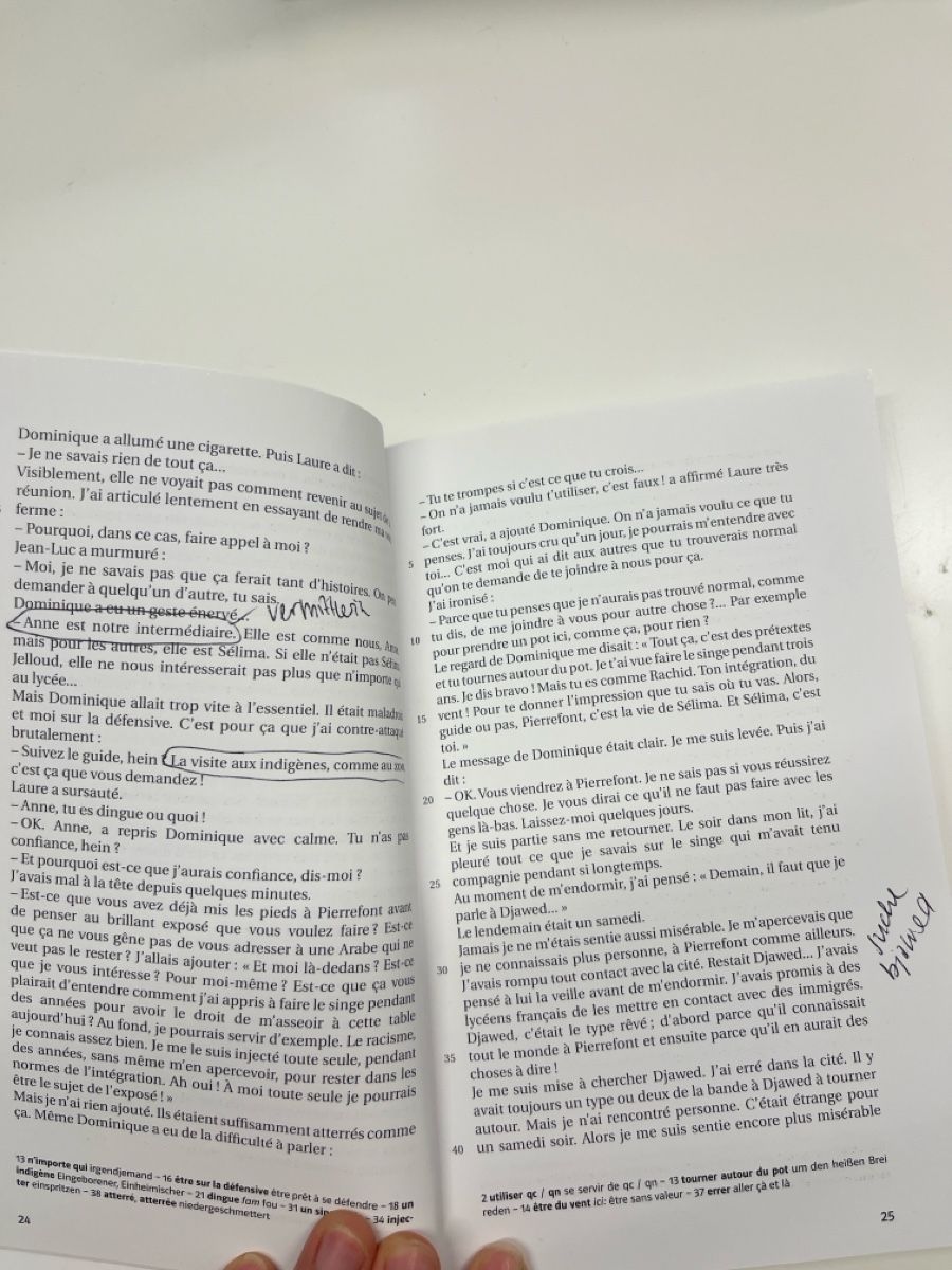 Französisches Jugendbuch "Anne ici - Sélime là-bas" (Gebraucht) in ...