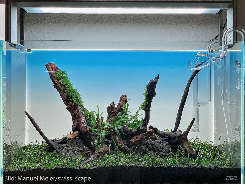 ADA Lightscreen 60 | Kaufen auf Ricardo