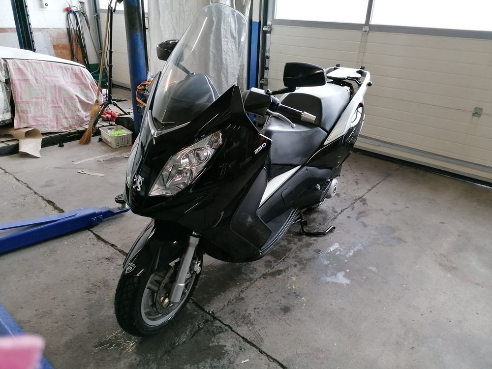 Peugeot Roller 300 Ccm