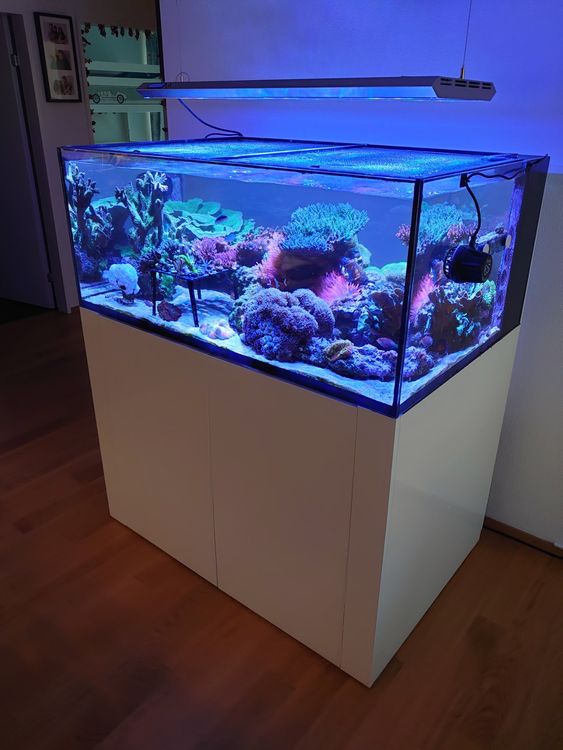 ELOS Aquarium 480 Liter (Gebraucht) in Zürich für CHF 500 – nur ...