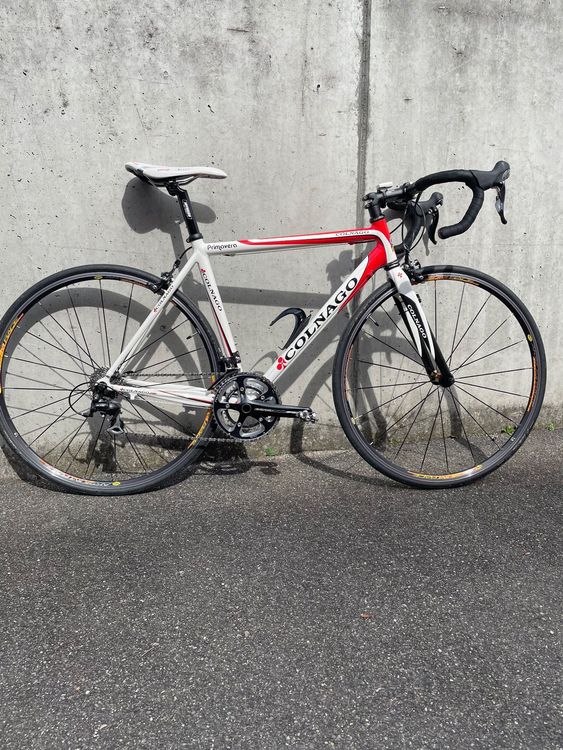 Rennrad Colnago Primavera (Gebraucht) in Zürich für CHF 650 – nur ...