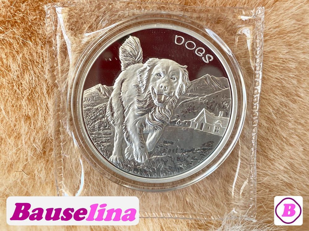 1 oz DOGS 2022 - Finesilver 999,9 - FIJI | Kaufen auf Ricardo
