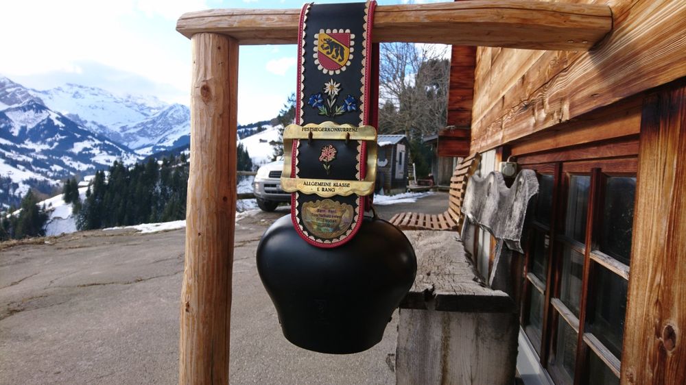 Treichel Bulle 34 (Gebraucht) in Achseten für CHF 260 – mit Lieferung ...