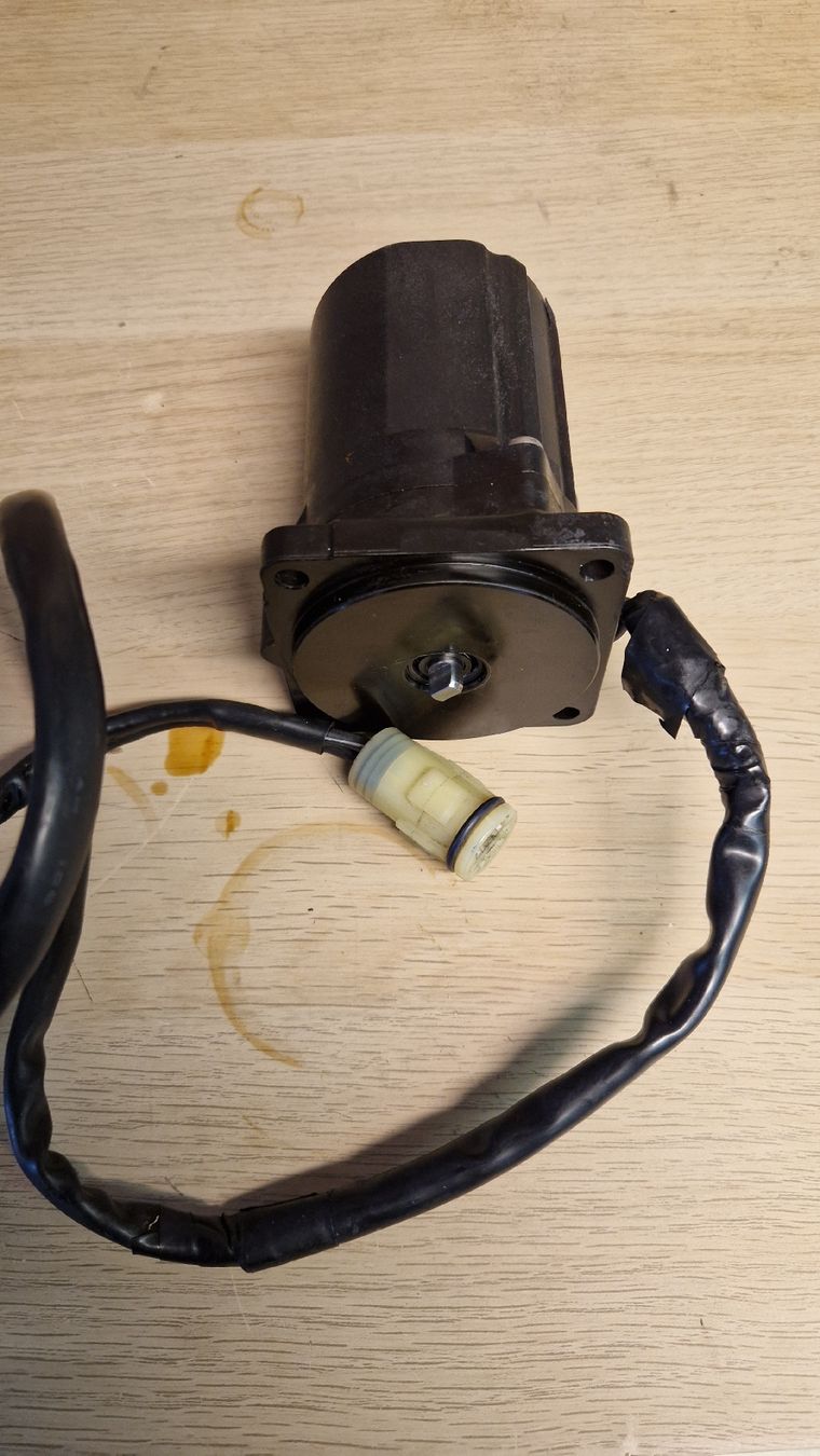 Trimm Motor Honda BF40 BF50 (Gebraucht) in Zwingen für CHF 50 – mit ...