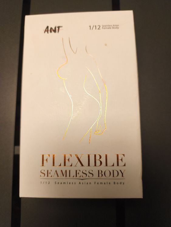 Flexible Seammles Body 1/12 Action Figur, Female Asian Body (Neu und ...