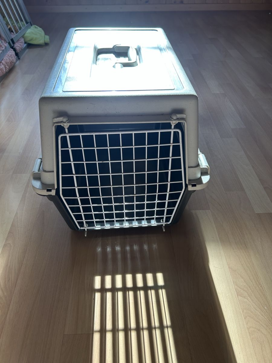 Gut erhaltene Transportbox für kleine Hunde oder Katzen (Gebraucht) in ...