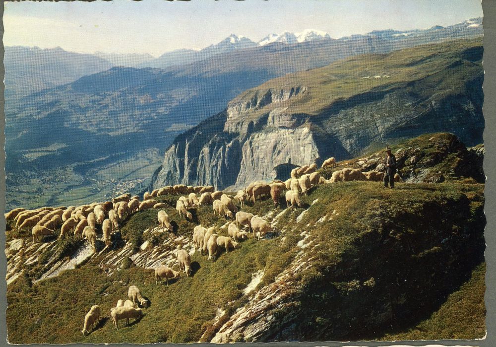 AK color Flims GR Alp Mora Flimserstein ≈ 1965 | Kaufen auf Ricardo