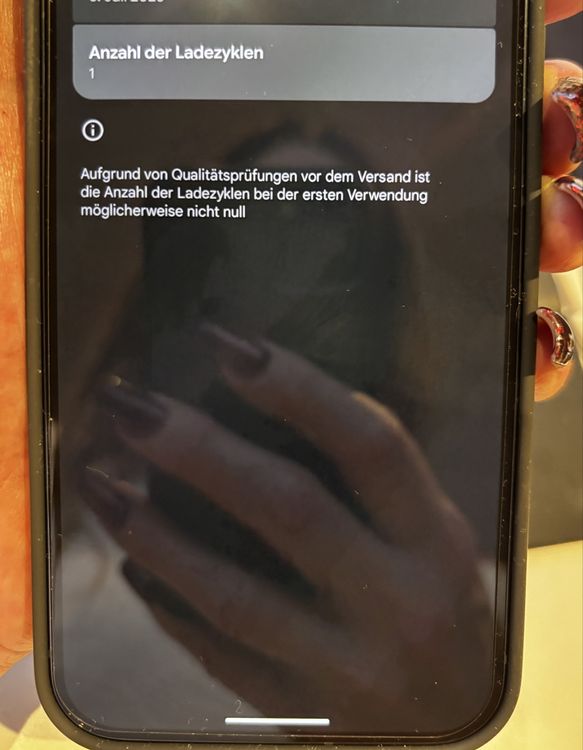 Google Pixel 10 Pro XL schwarz 1Tag alt (Neu (gemäss Beschreibung)) in ...