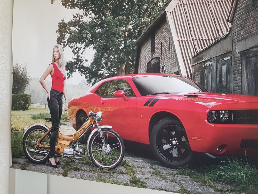 Poster "Lady mit Puch Maxi N & Dodge Challenger" (59,4x84cm) | Kaufen ...