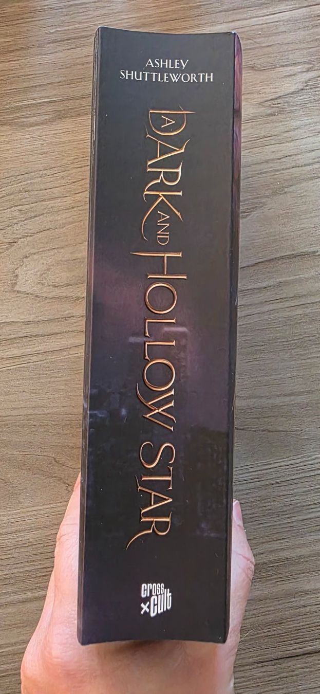 A Dark and Hollow Star (Gebraucht) in Rafz für CHF 5 – mit Lieferung ...