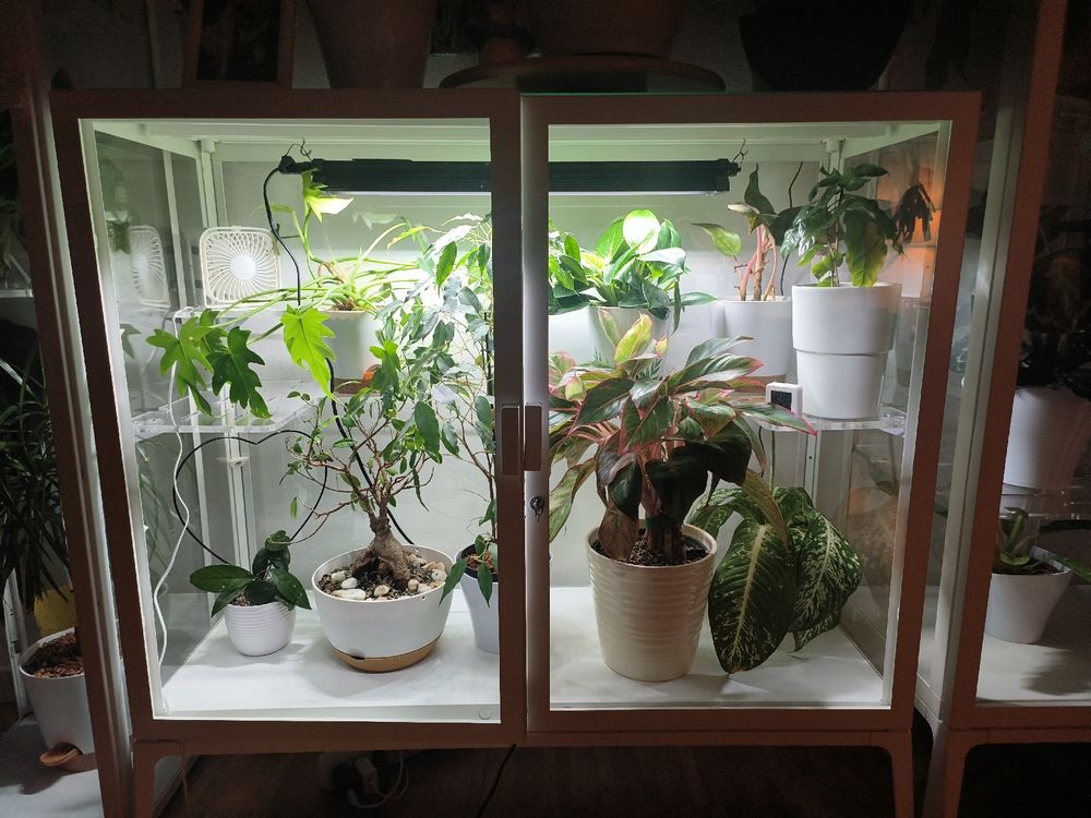 Plant Cabinet/ Indoor Greenhouse | Kaufen auf Ricardo