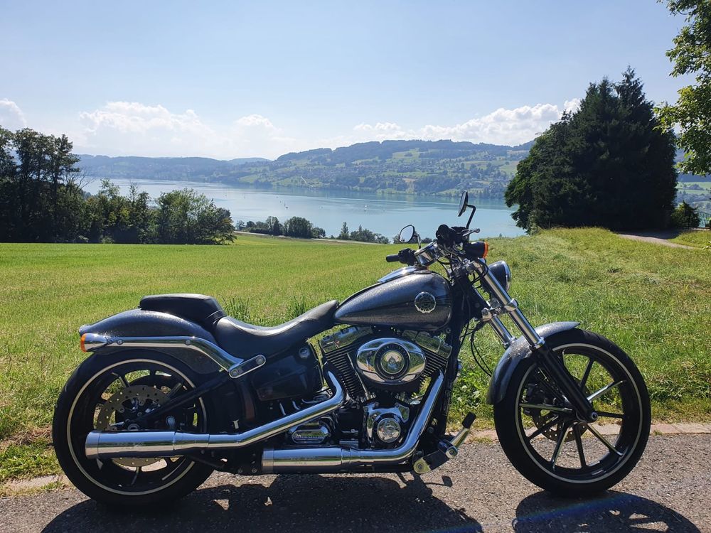 Harley-Davidson FXSB 103 Breakout Silver (Chrome) Flake (Gebraucht) in ...