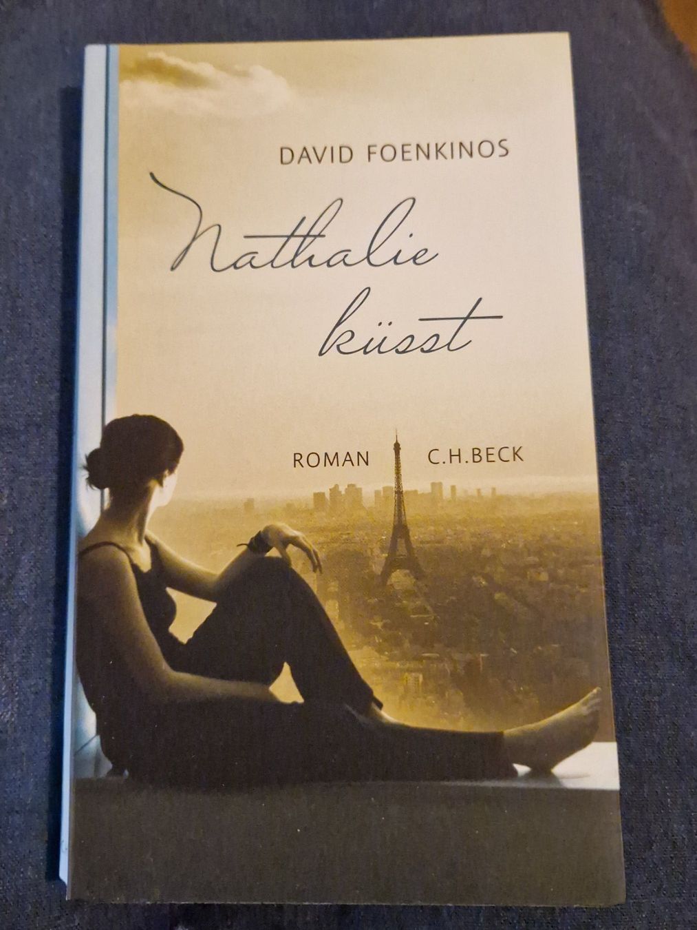 David Foenkinos Nathalie küsst Liebesgeschichte Paris (Gebraucht) in Neuhausen am Rheinfall für ...