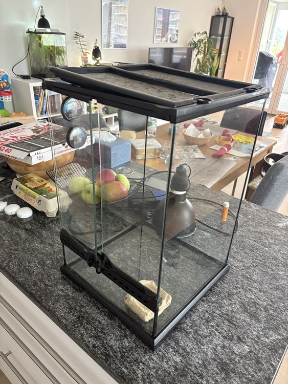 Terrarium 45 × 45 × 60 cm (Gebraucht) in Höri für CHF 200 – nur ...