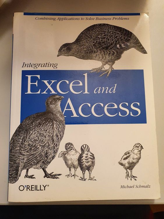 Integrating Excel and Access (Gebraucht) in Boniswil für CHF 10 – mit Lieferung auf Ricardo kaufen