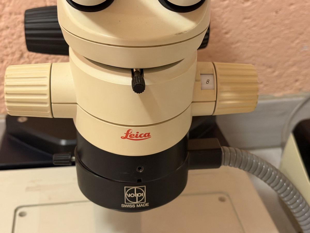 LEICA Microscope MS 5 (D'occasion) à Bassecourt pour CHF 390 – avec ...