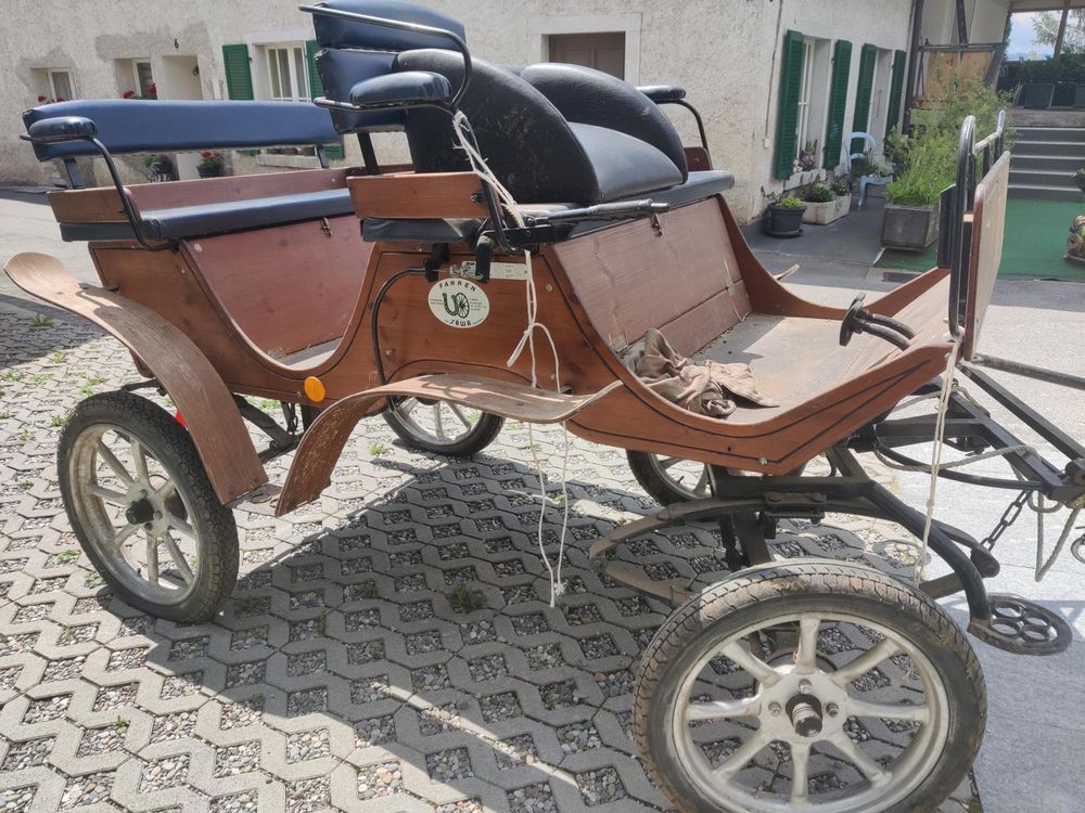 Kutsche SAWA (Gebraucht) in Wabern für CHF 200 – nur Abholung auf ...