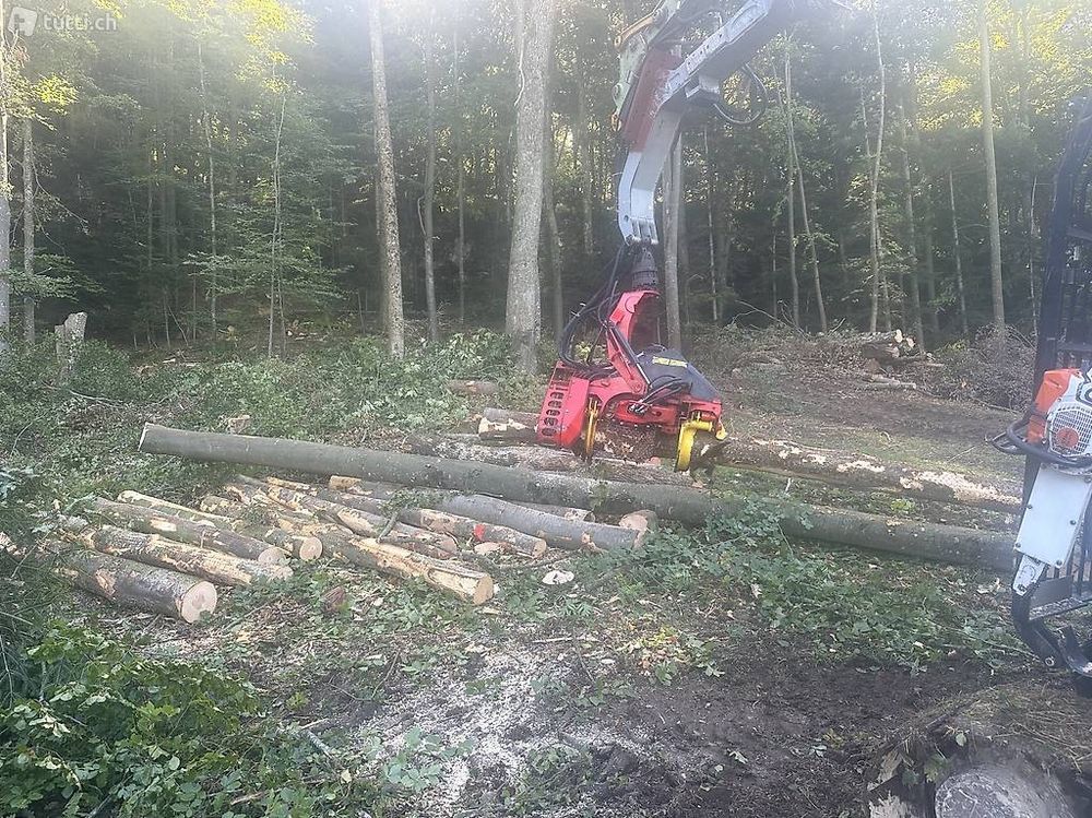Harvester Sp Maskiner 551 Lf (Gebraucht) in Oberdorf BL für CHF 8006 – nur Abholung auf Ricardo ...