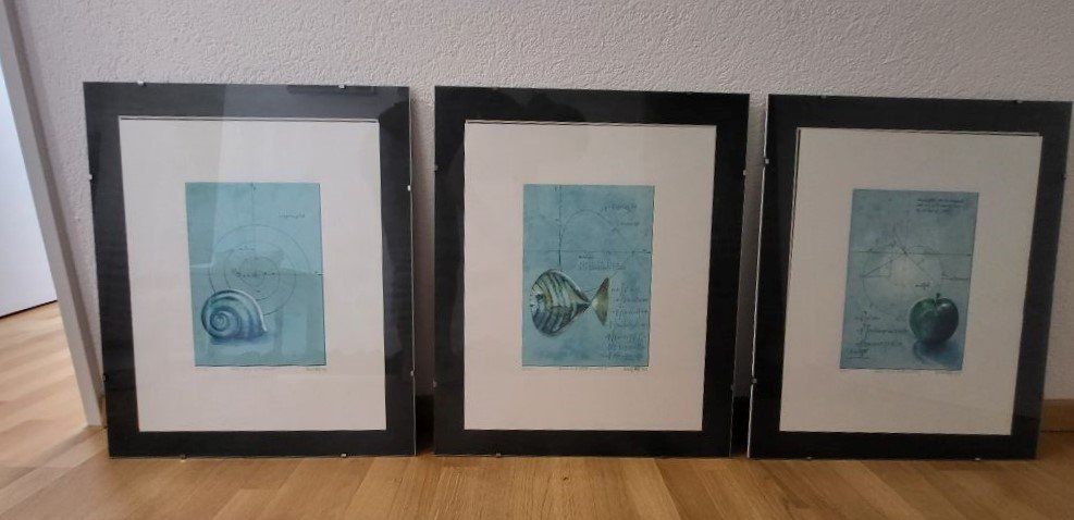 Bilderset "Natur und Mathematik 1-3" von Franz Xaver Lutz | Kaufen auf Ricardo