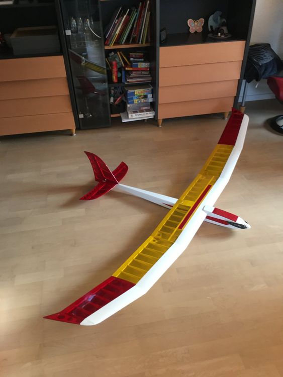 Elektrosegler Neo von Jonas Kessler (Neu (gemäss Beschreibung)) in ...