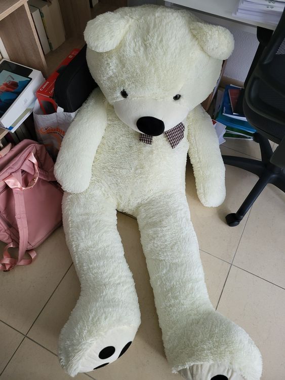 Teddybär XXL 160 cm beige | Kaufen auf Ricardo