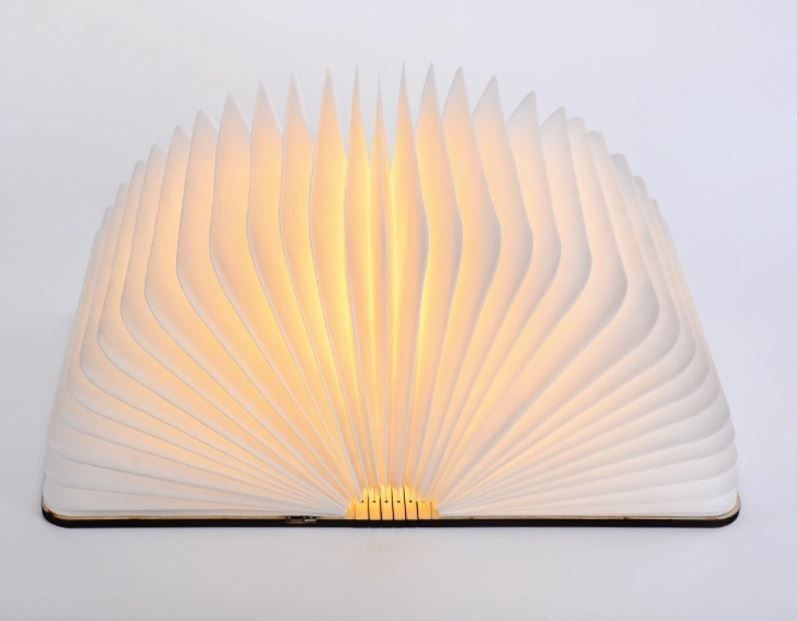 SMART BOOK - LIGHT BOOK - LAMPE (Neu und originalverpackt) in Stansstad ...