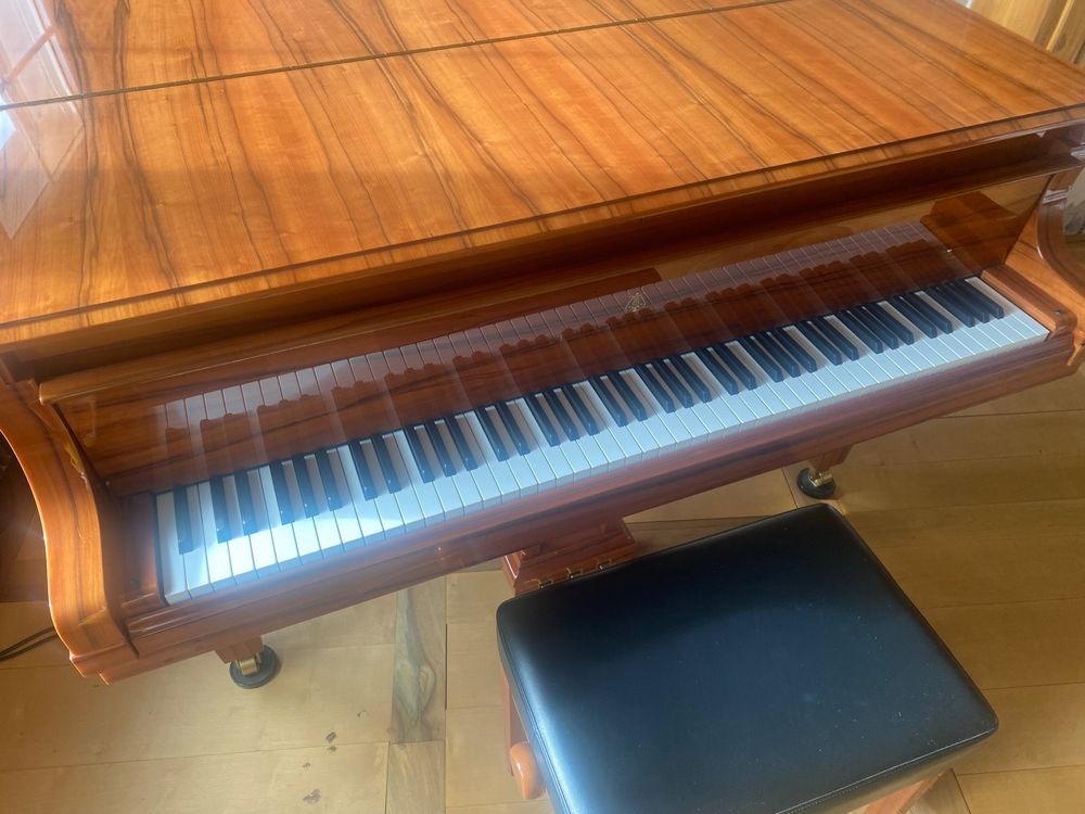 Steinway Crown Jewel O-180 Spirio (Gebraucht) in Speicher für CHF ...